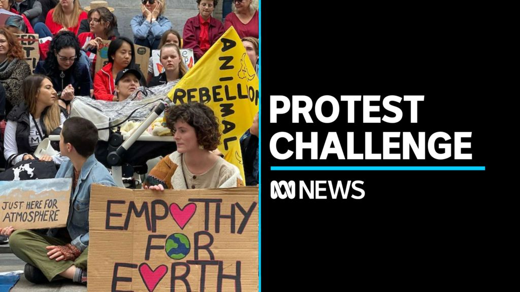 Climate activists launch legal challenge against new protest laws - ABC ...