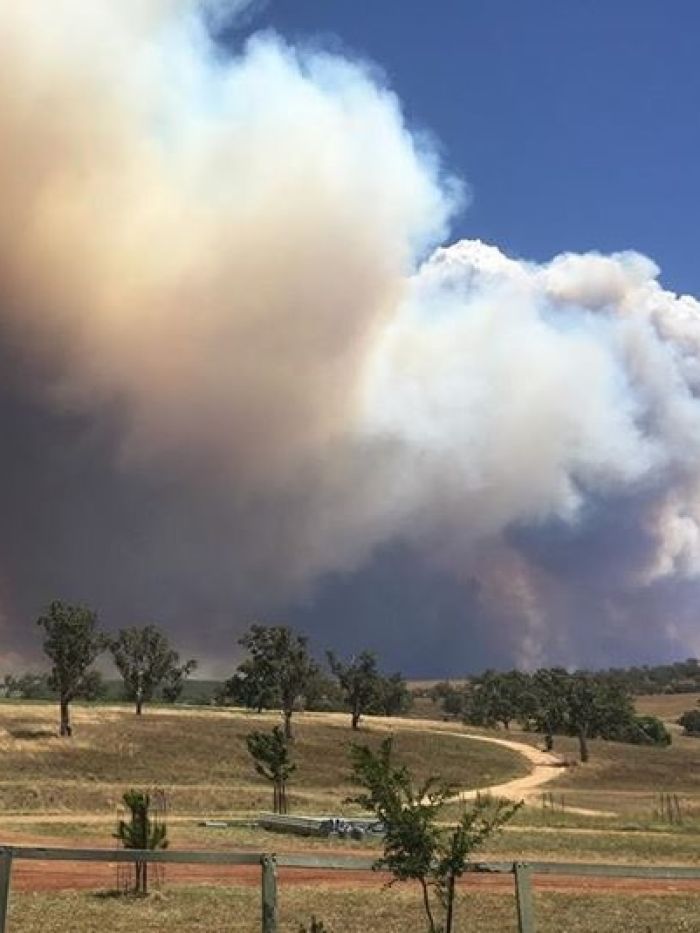 Fire emergency in NSW as bushfires flare up - ABC listen