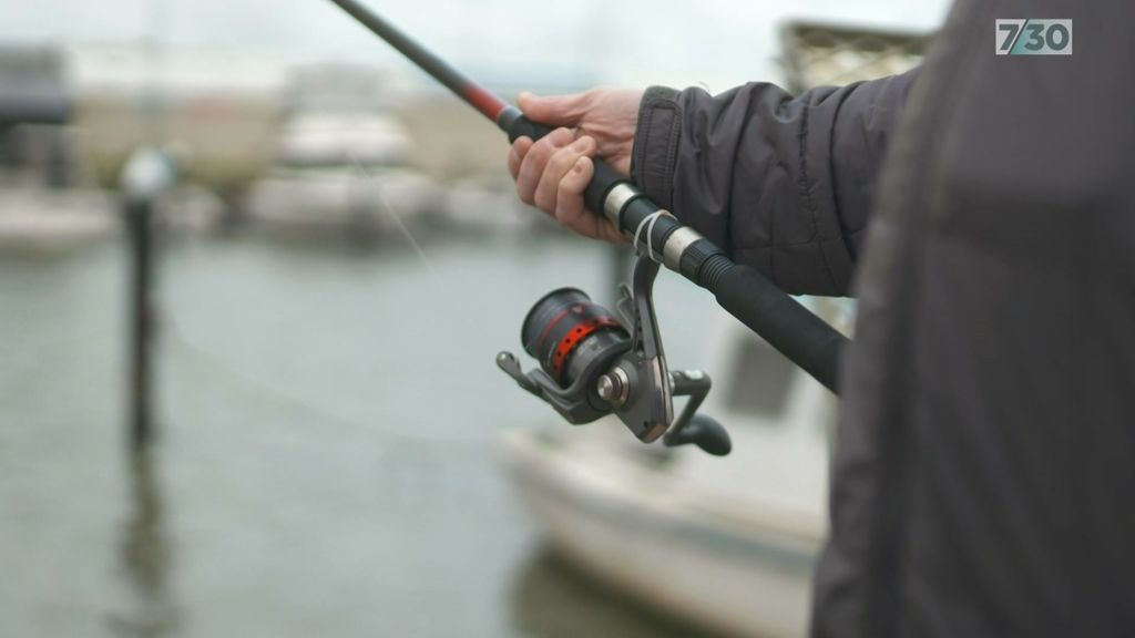 Victorian Government gives free fishing rods to kids as state debt ...