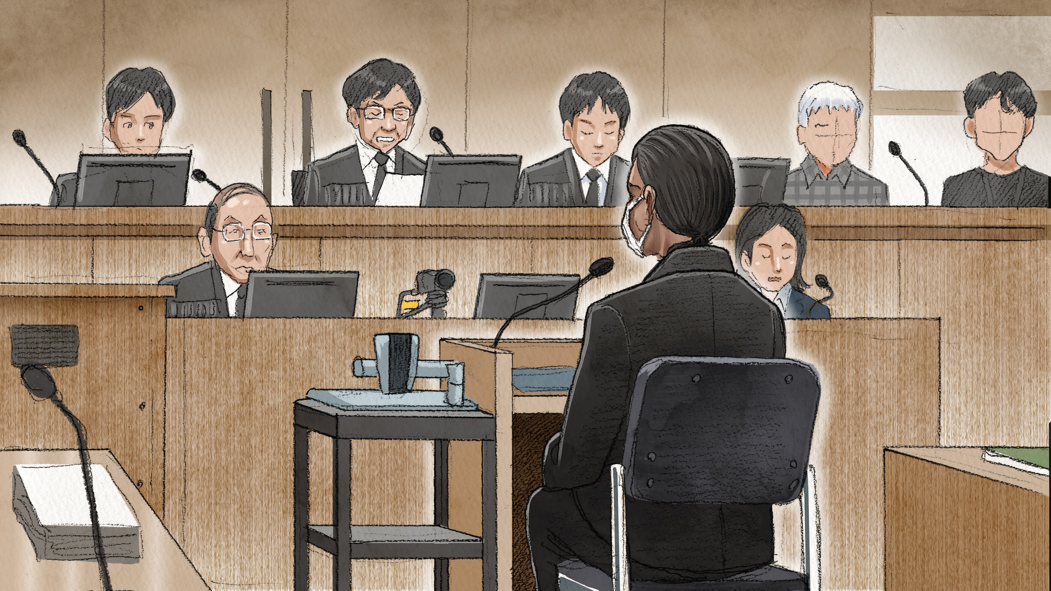 Donna Nelson found guilty of importing methamphetamine into Japan - ABC ...