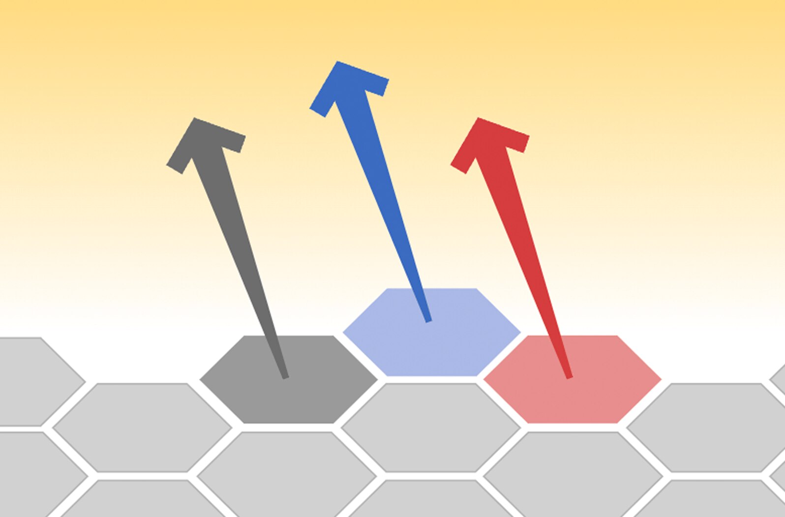 ABC journalist Sarah Ferguson on the big stories, the blowback and the ...