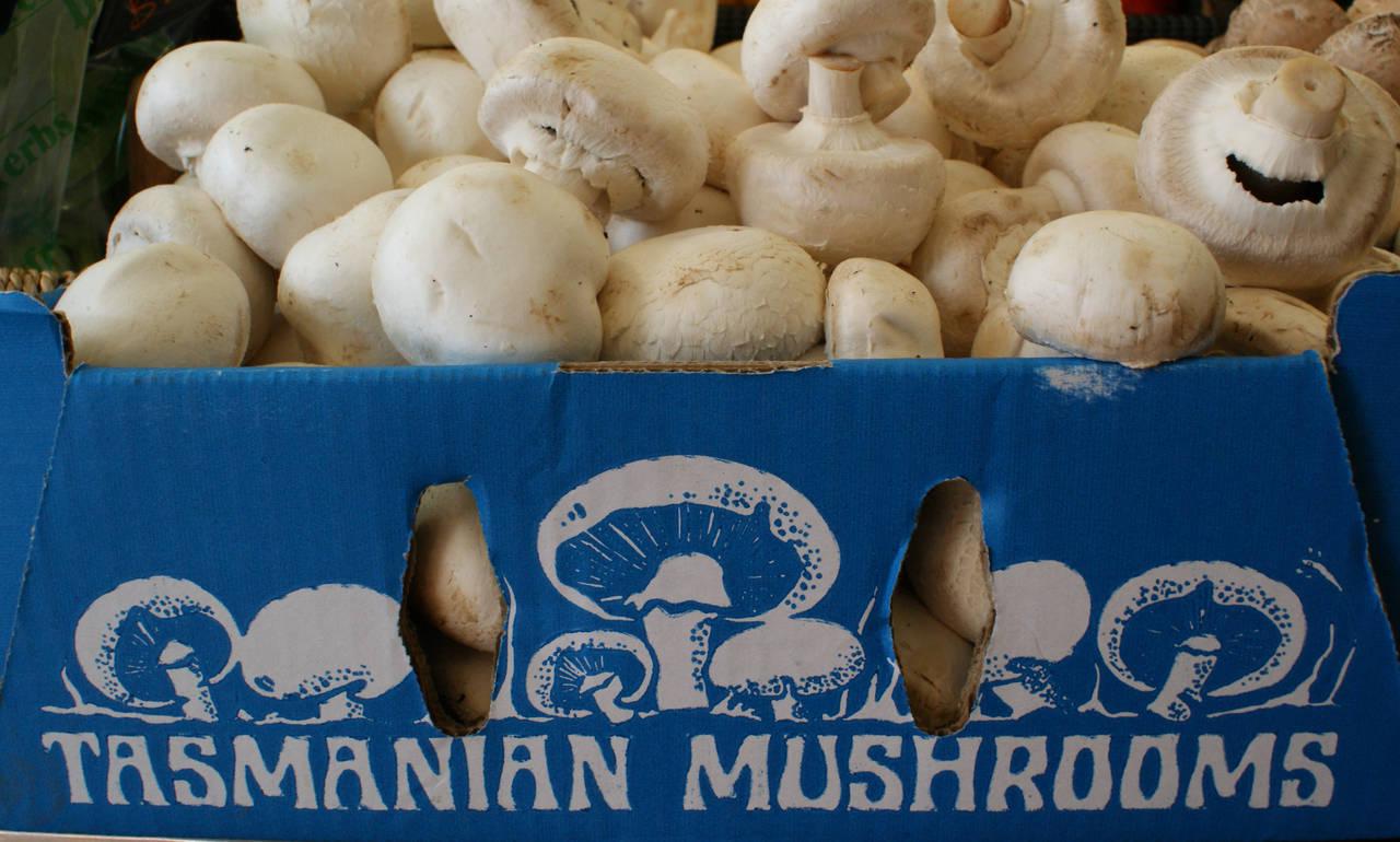 Mushroom and Silver Beet Risotto - ABC News