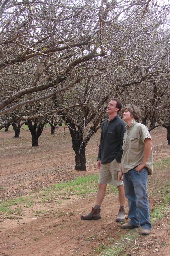 More grey today: getting kids into horticulture - ABC News