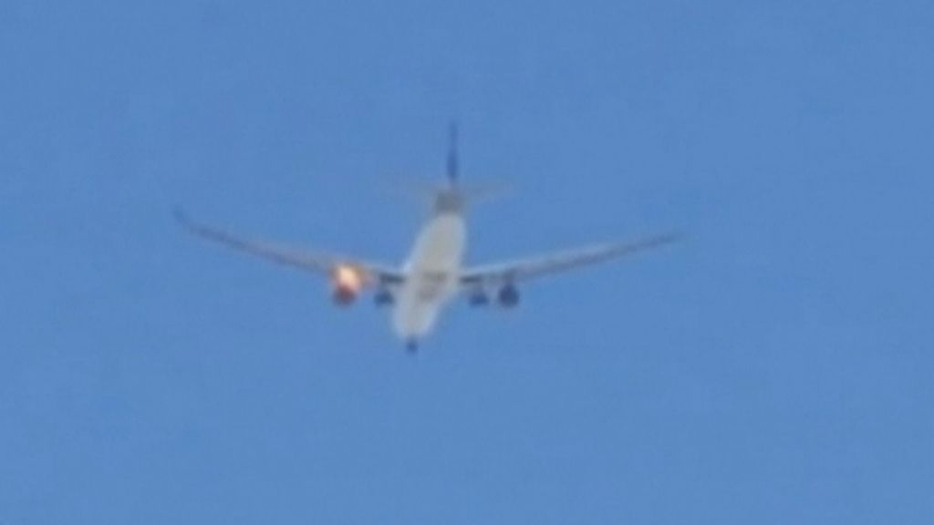 Qatar Airways plane makes emergency landing after bird strike - ABC News