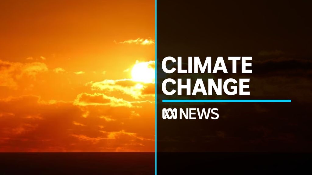 Experts renew calls for urgent action on climate change - ABC News