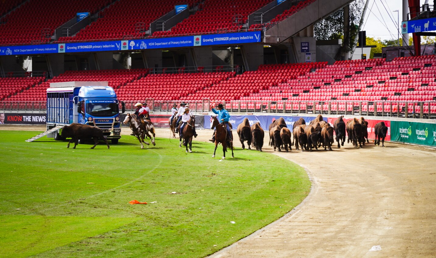The Sydney Royal Easter Show kicks off today. Here's what to expect ...