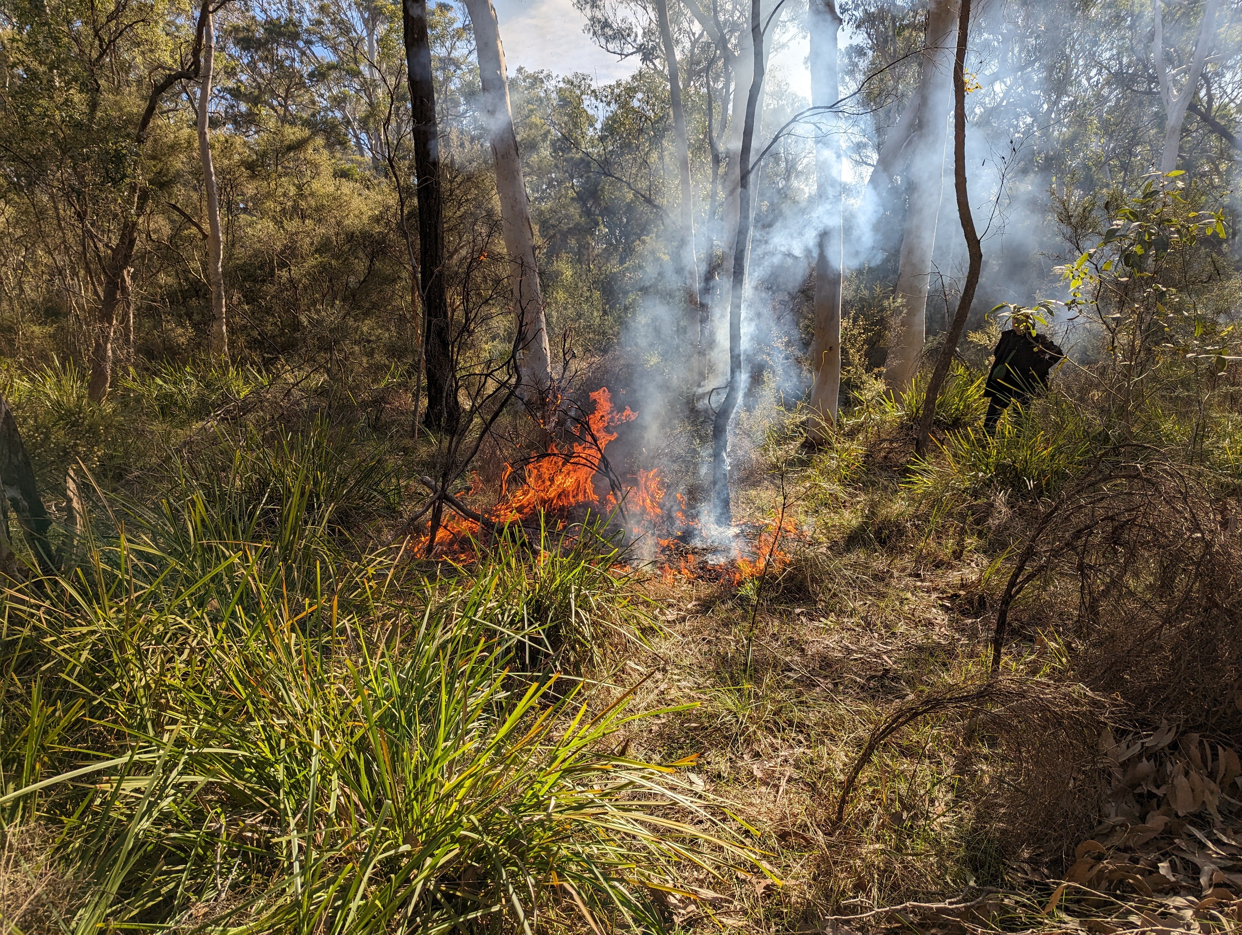 More cultural burns needed ahead of bushfire season, Indigenous ...