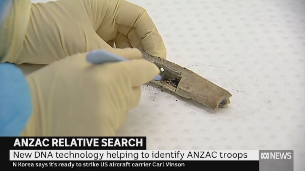 DNA key to identifying unknown soldiers - ABC News