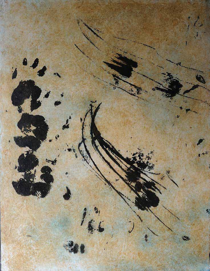 Maggot art making a mark - ABC News