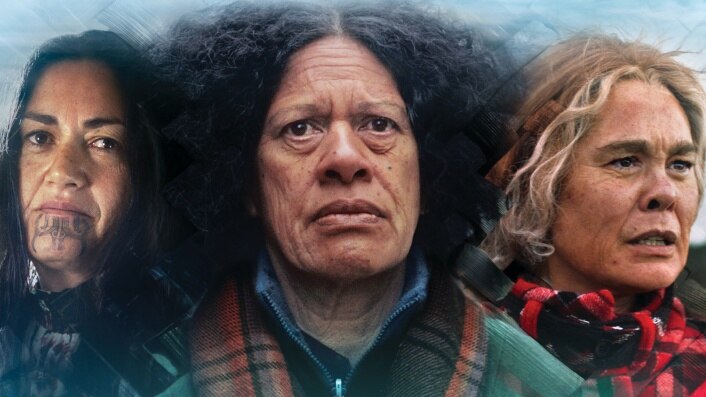 Cousins brings a different perspective of New Zealand to the screen ...