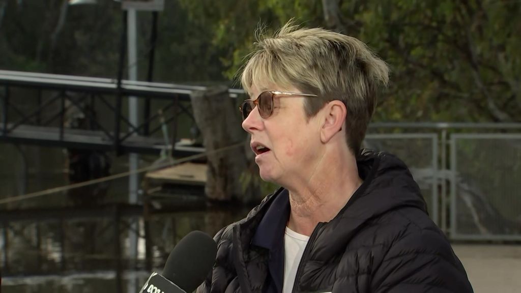 'One in one thousand event': Echuca Mayor describes flood zone - ABC News