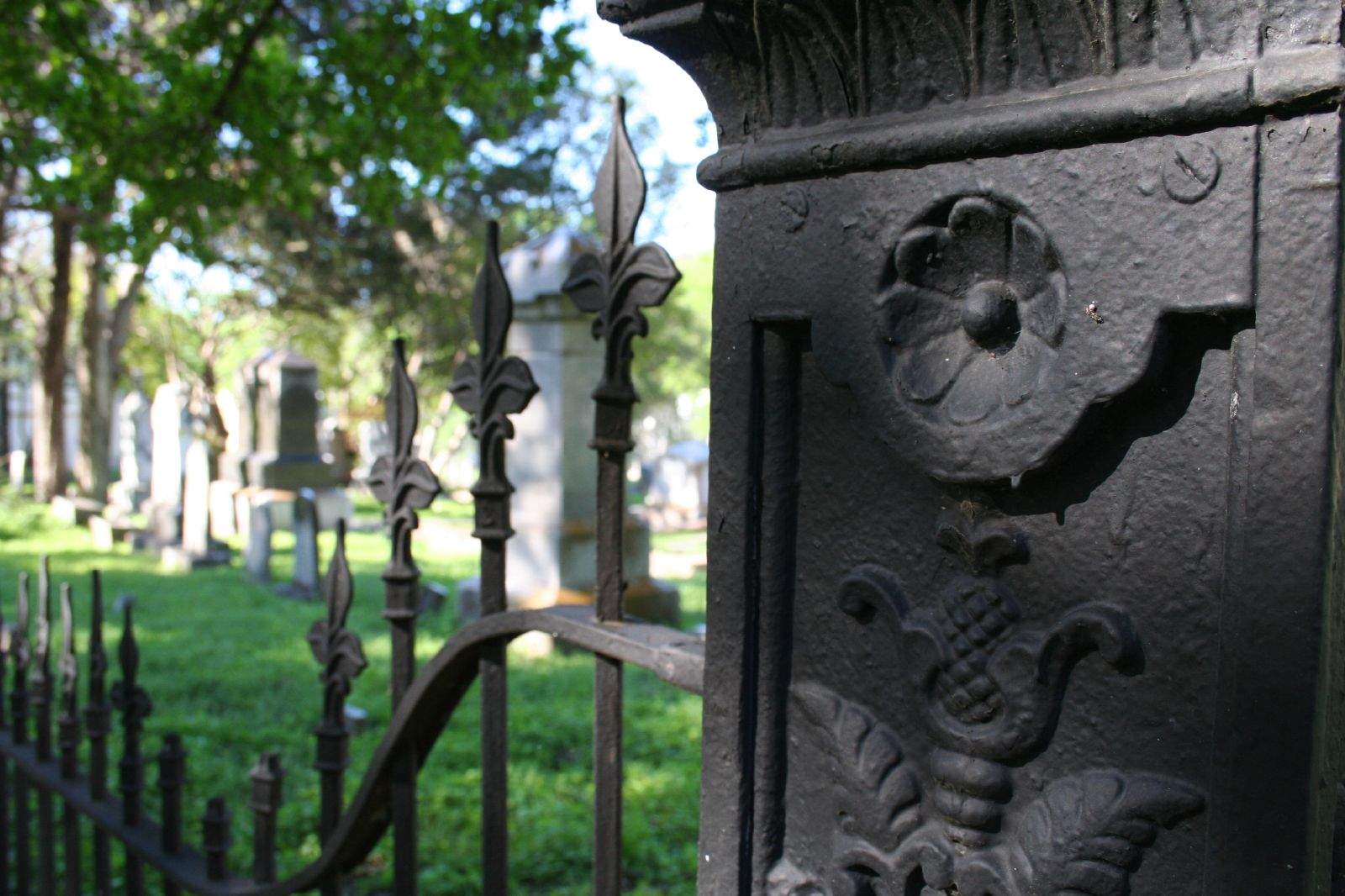 Brisbane’s Balmoral Cemetery is an historic oasis of green - ABC listen