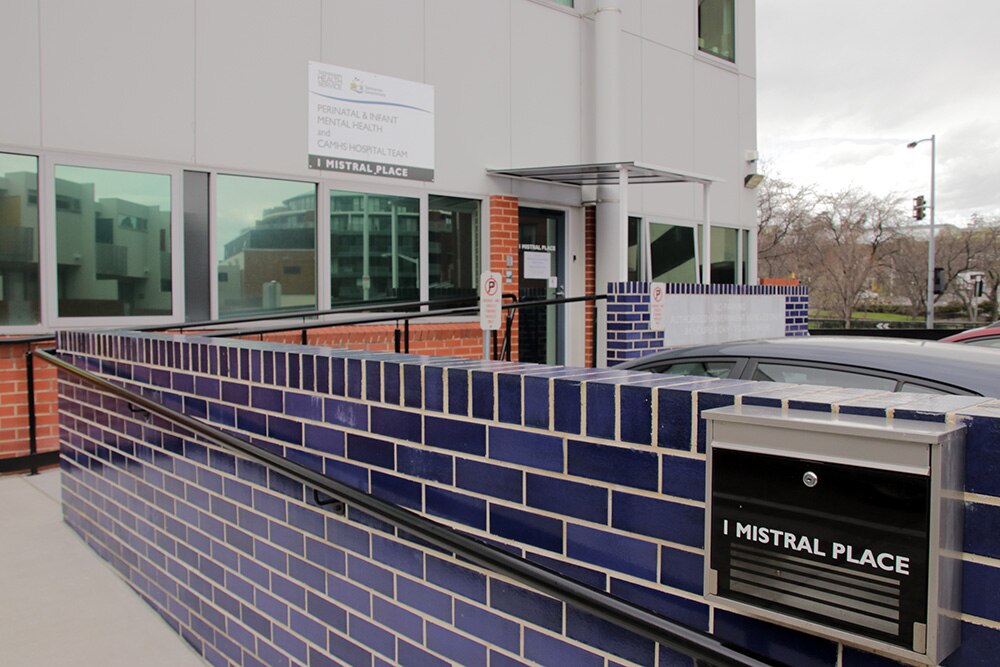 Shortage of acute beds in Tasmania a 'crisis', mental health expert ...