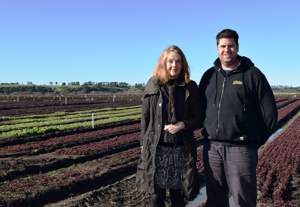East Gippsland farmers create online marketplace called 'feast on east ...