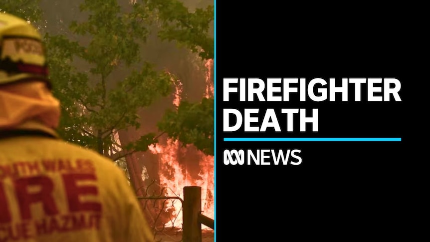 Volunteer firefighter dies while battling blaze in northern NSW - ABC News Volunteer firefighter dies while battling blaze in northern NSW - ABC News