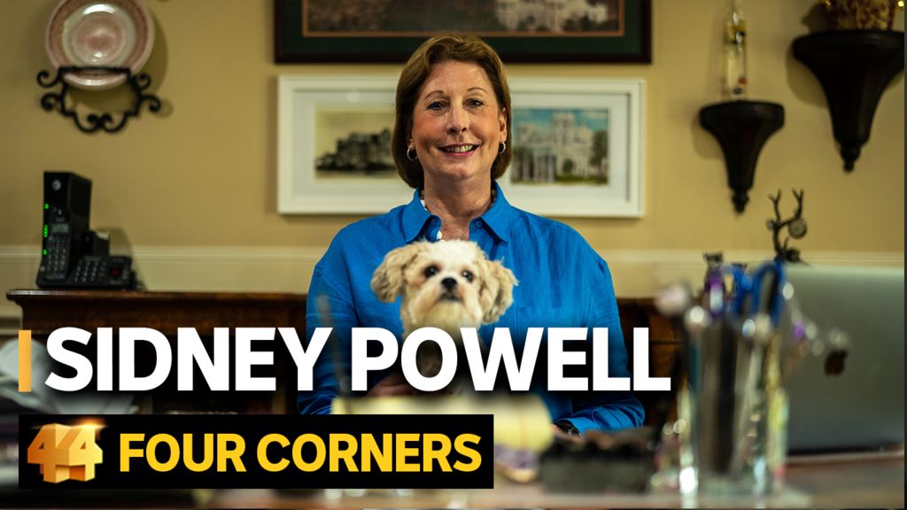 Sarah Ferguson interviews Sidney Powell - ABC News