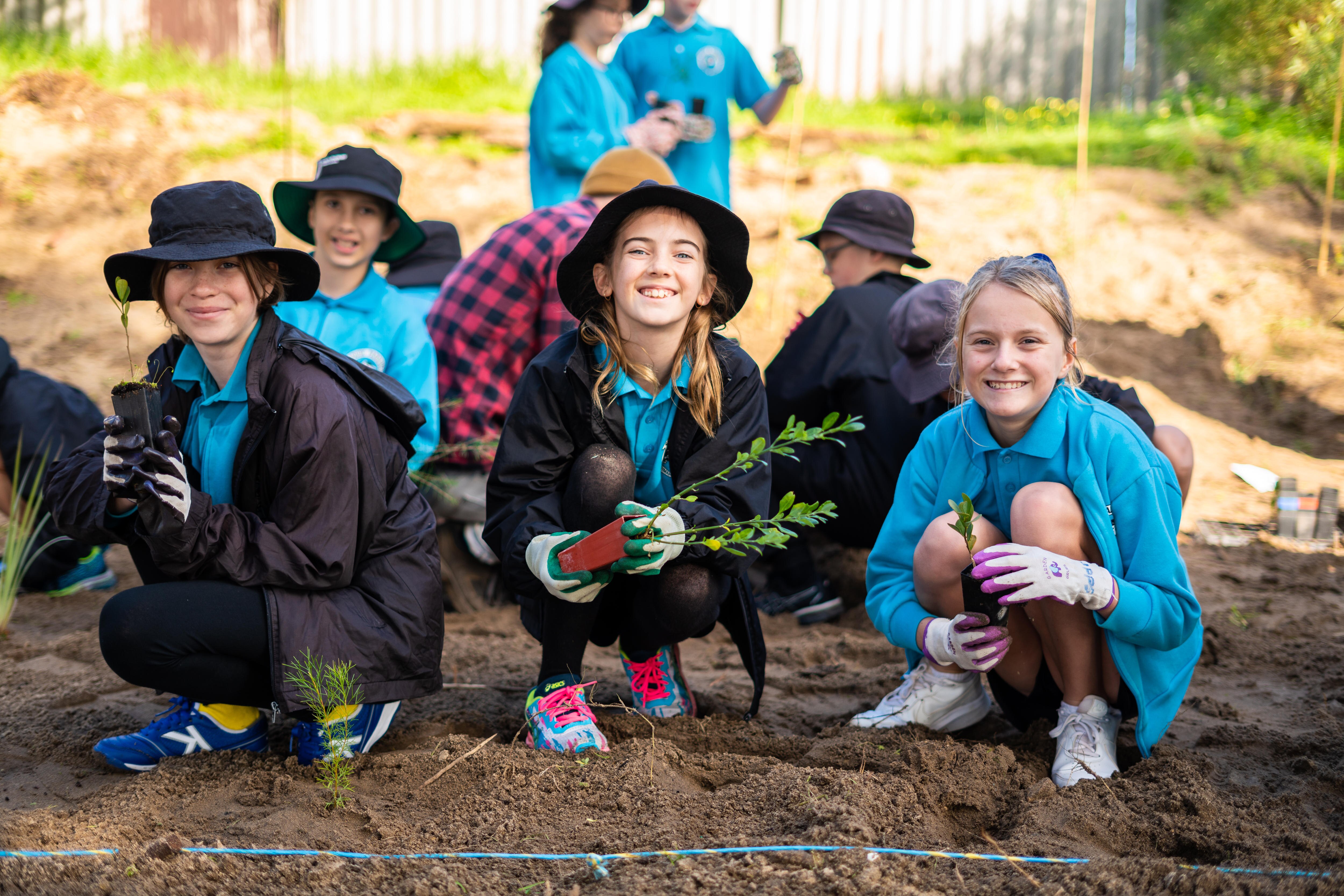 Tree planting empowers young students - ABC listen