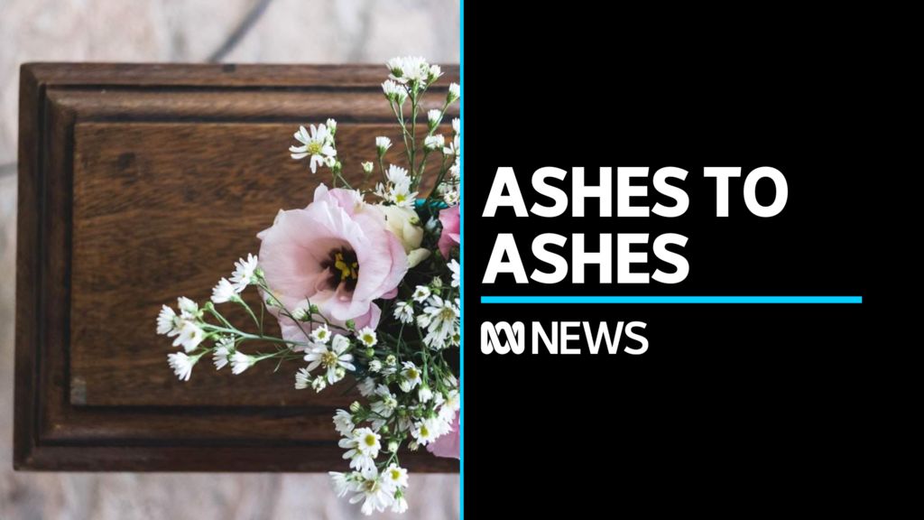 The rise of cremations and alternative burials - ABC News