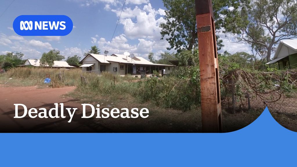 News From the Northern Territory : ABC iview