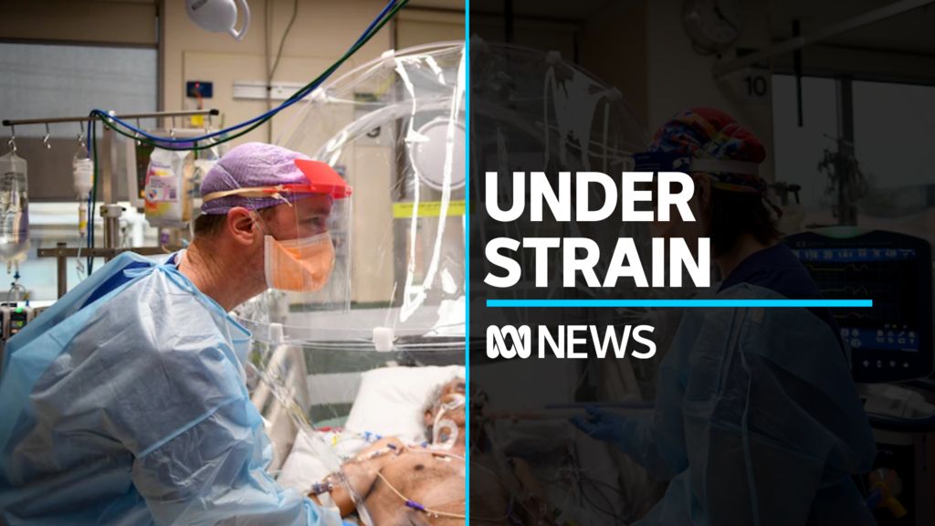 Humid weather stirs Top End crocs - ABC News