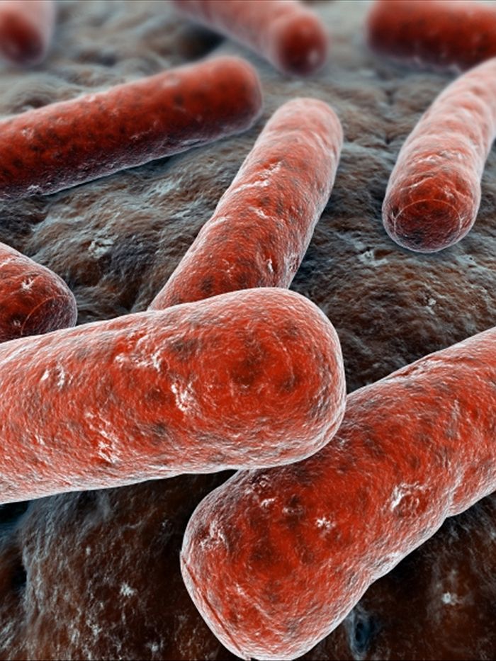 Common Gut Issues – Gut Health Series - ABC listen