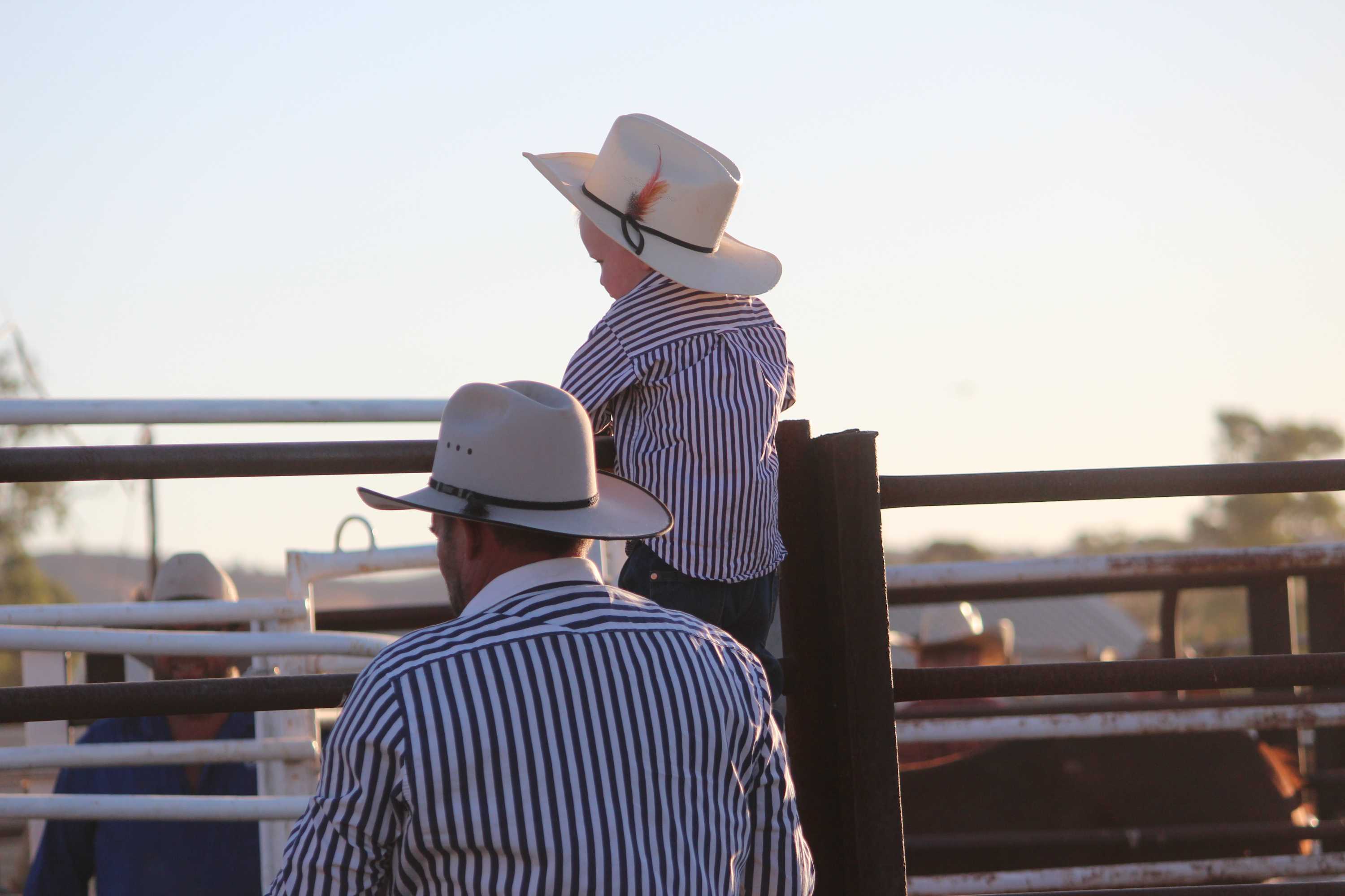 Carrieton 2015: Cowboys light up Christmas in outback SA - ABC News