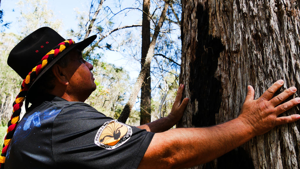 Biamanga Cultural Area on NSW far south coast reopens after bushfires ...