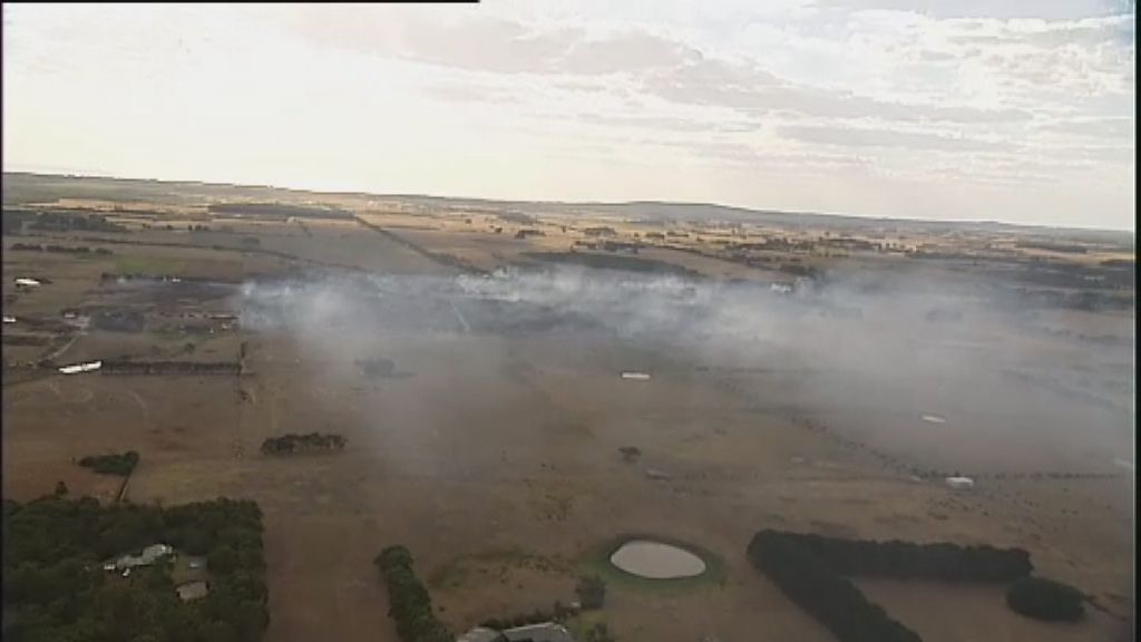 Portland grassfire contained by firefighters - ABC News