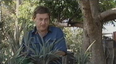 Dianella prunina 'Utopia' - Gardening Australia