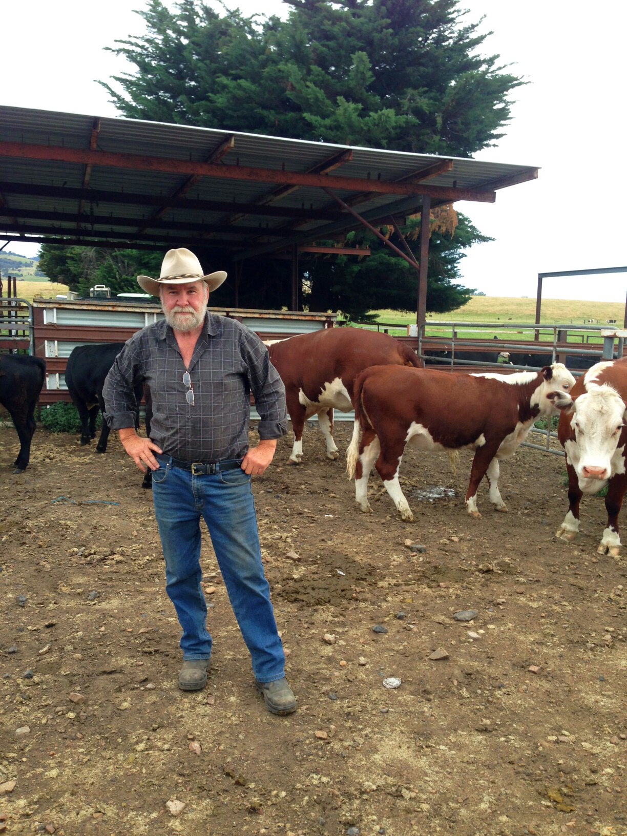 Former ranger's heartbreak at push by Victorian cattlemen to reopen ...