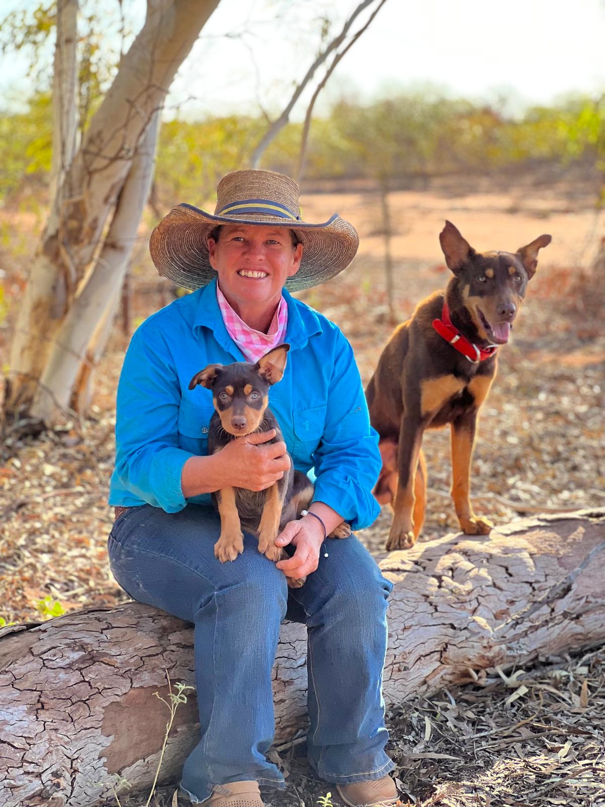 Muster Dogs stars catch us up on life since the series - ABC News