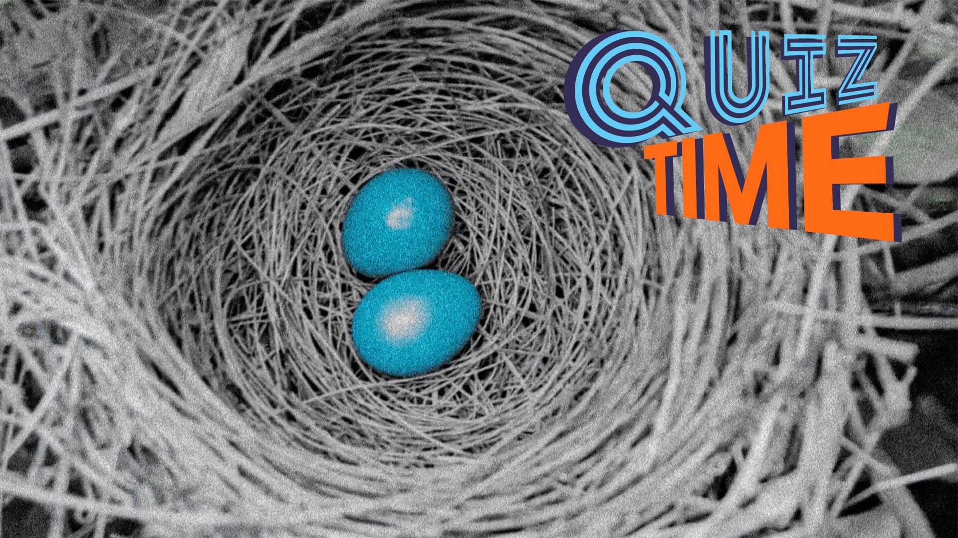 BTN - Behind The News