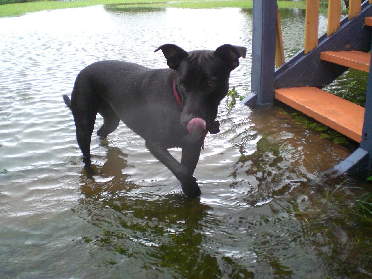 How to be ready for an emergency if you're away from home - ABC Emergency