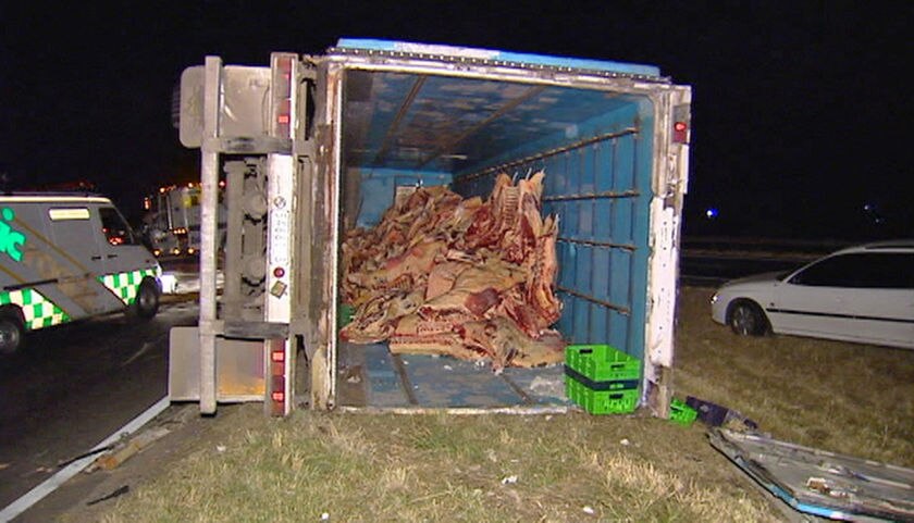 Meat truck crashes - ABC News