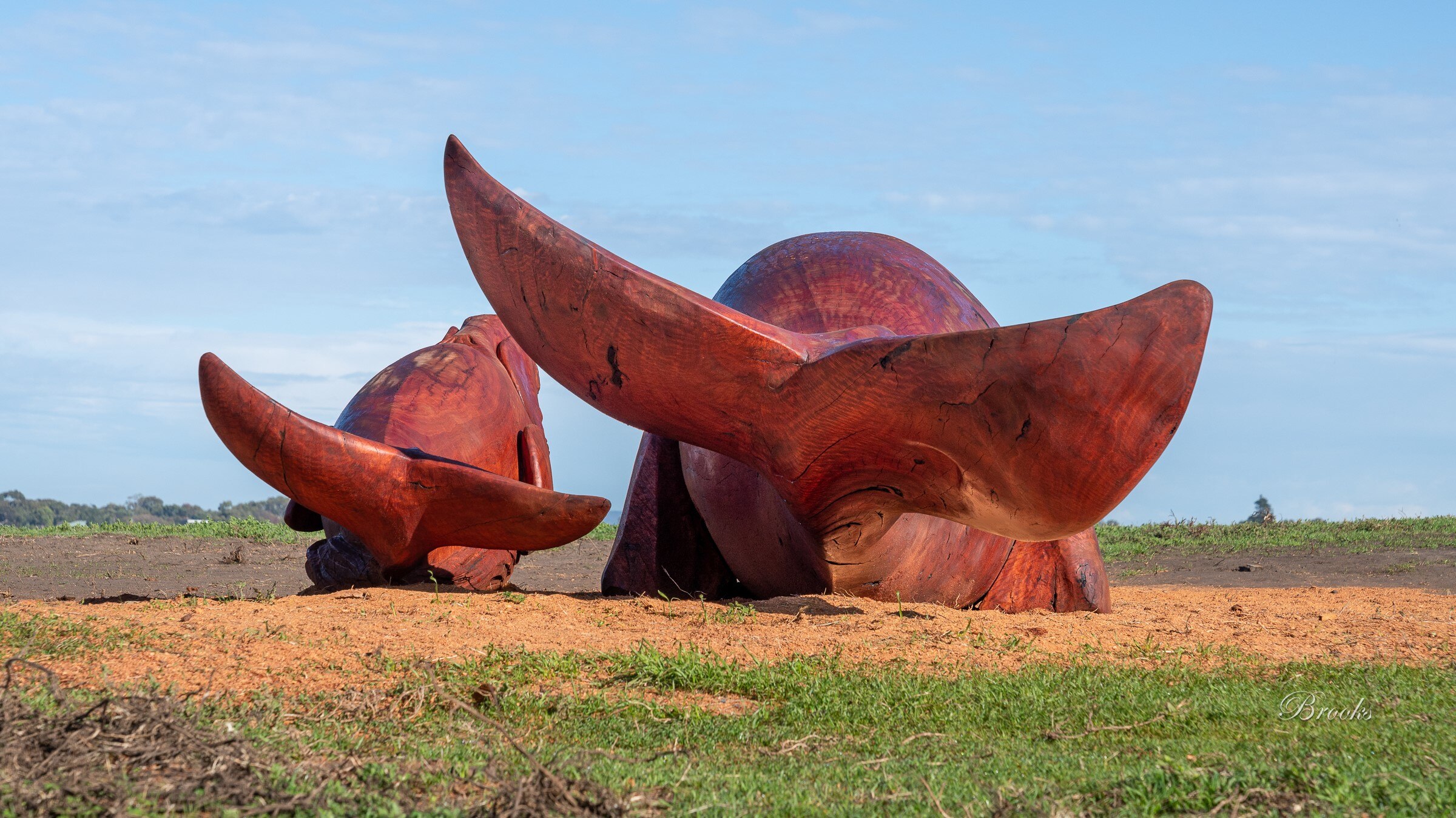 A fallen tree, "persistence" and chainsaw artistry creates Middleton ...