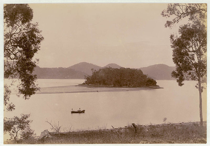 Peat Island - a place of asylum - ABC listen