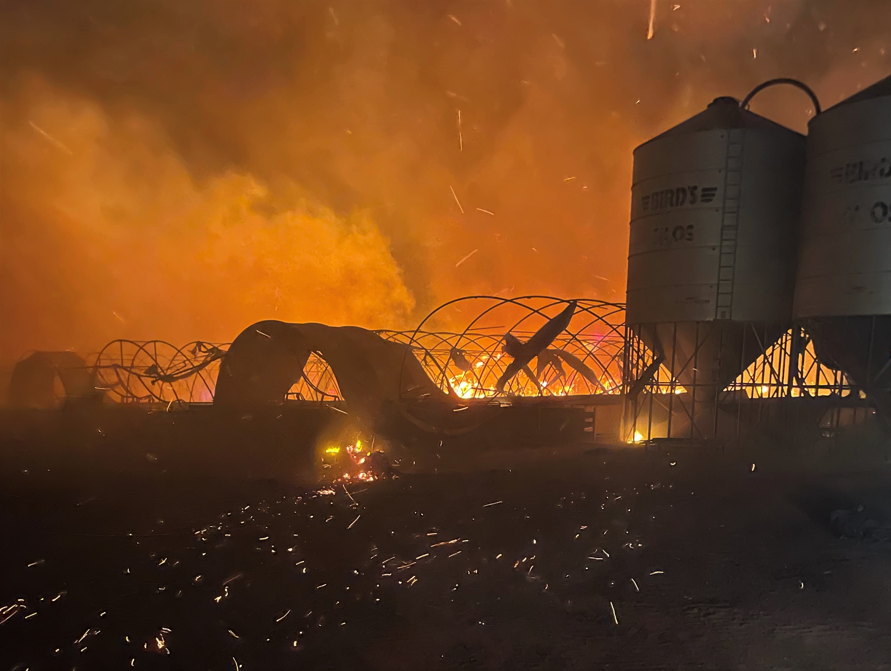 Inside a WA farmer's recovery after bushfire destroyed half of his ...