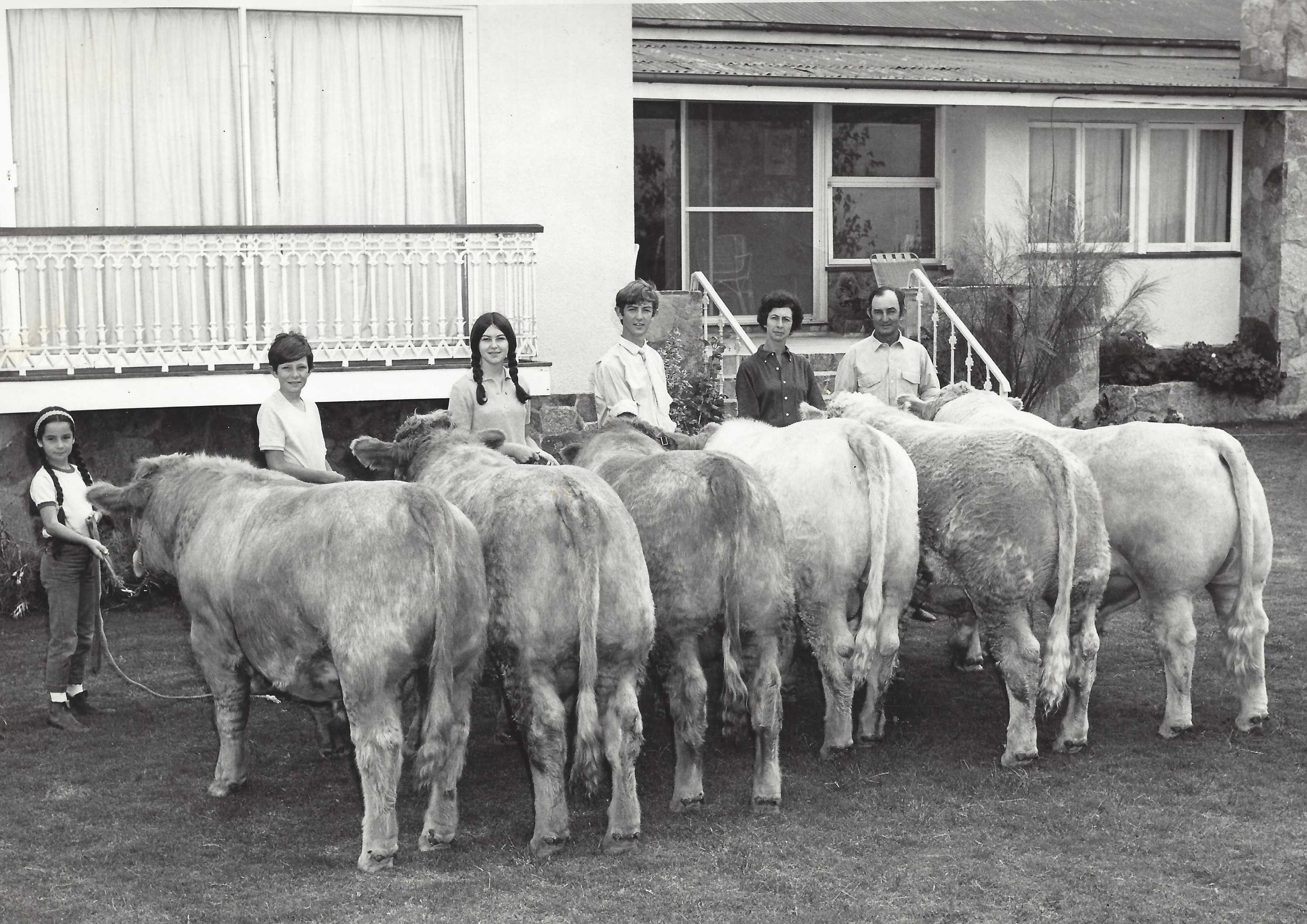 Australian beef seedstock industry crucial to continued growth with ...