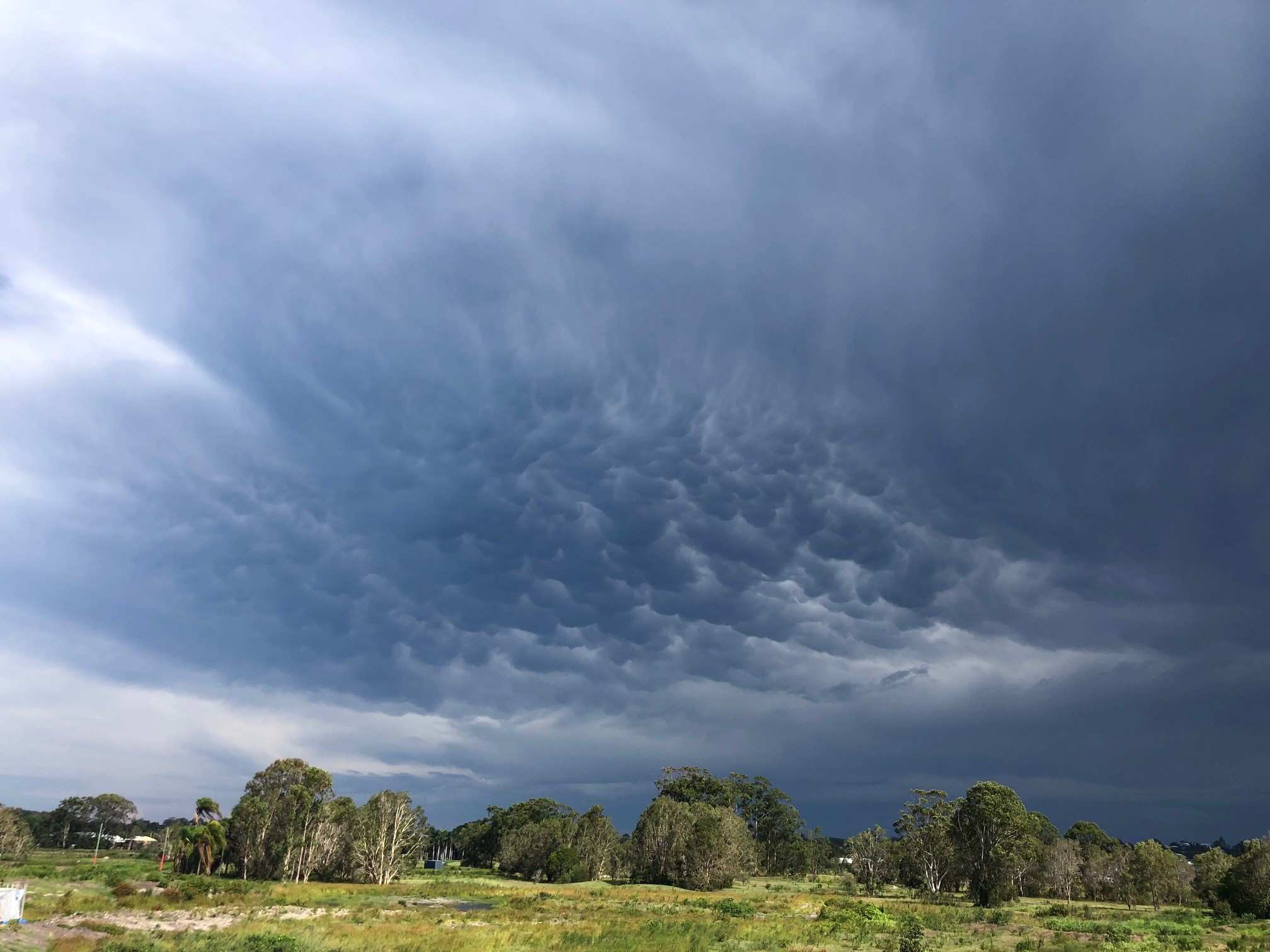 Tropical Cyclone Trevor forms off Far North Queensland coast as storms ...