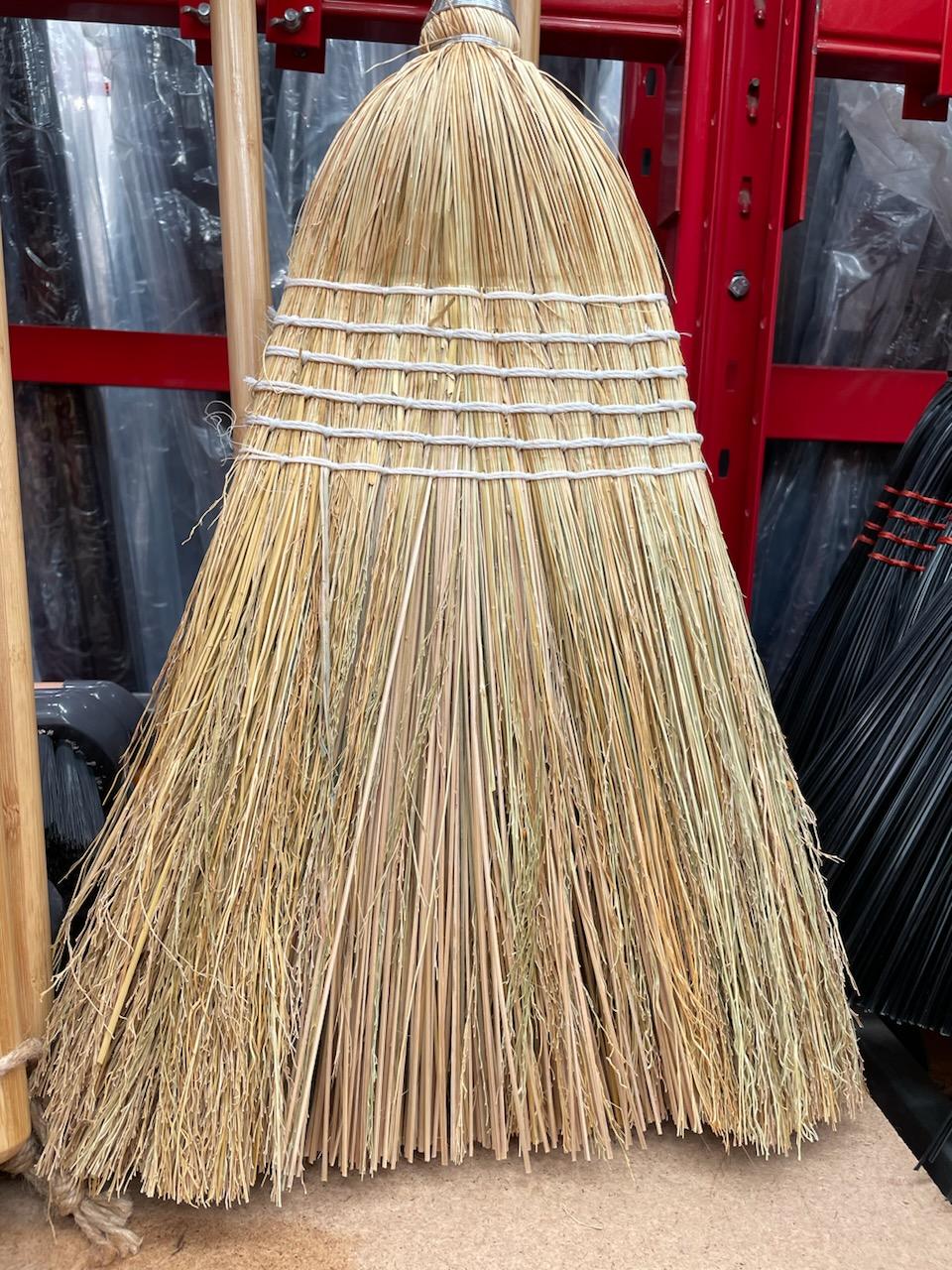 Bunnings launches biosecurity investigation after rice plant apparently ...