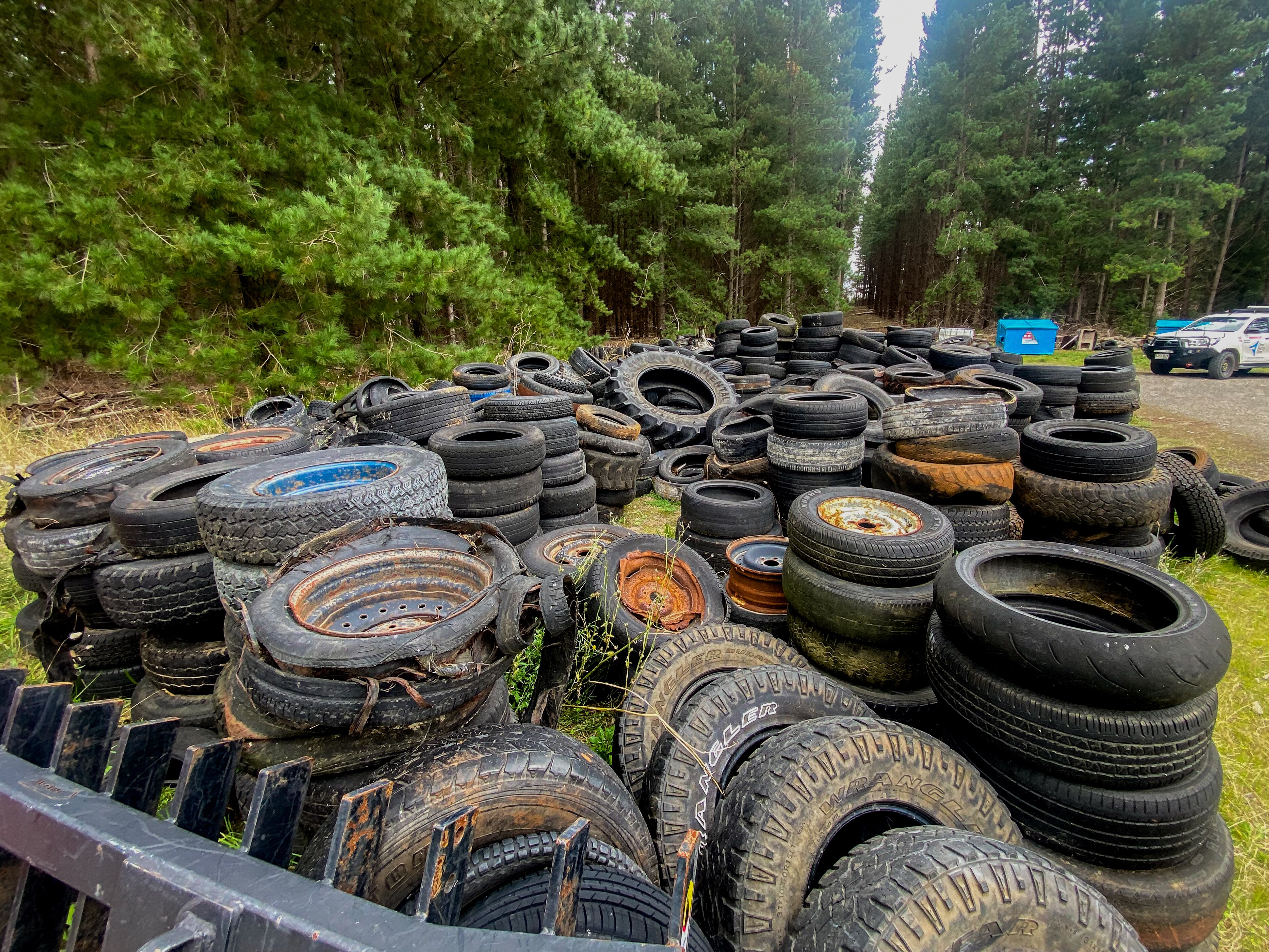 Illegal dumping activity in forest plantations at all-time highs around ...