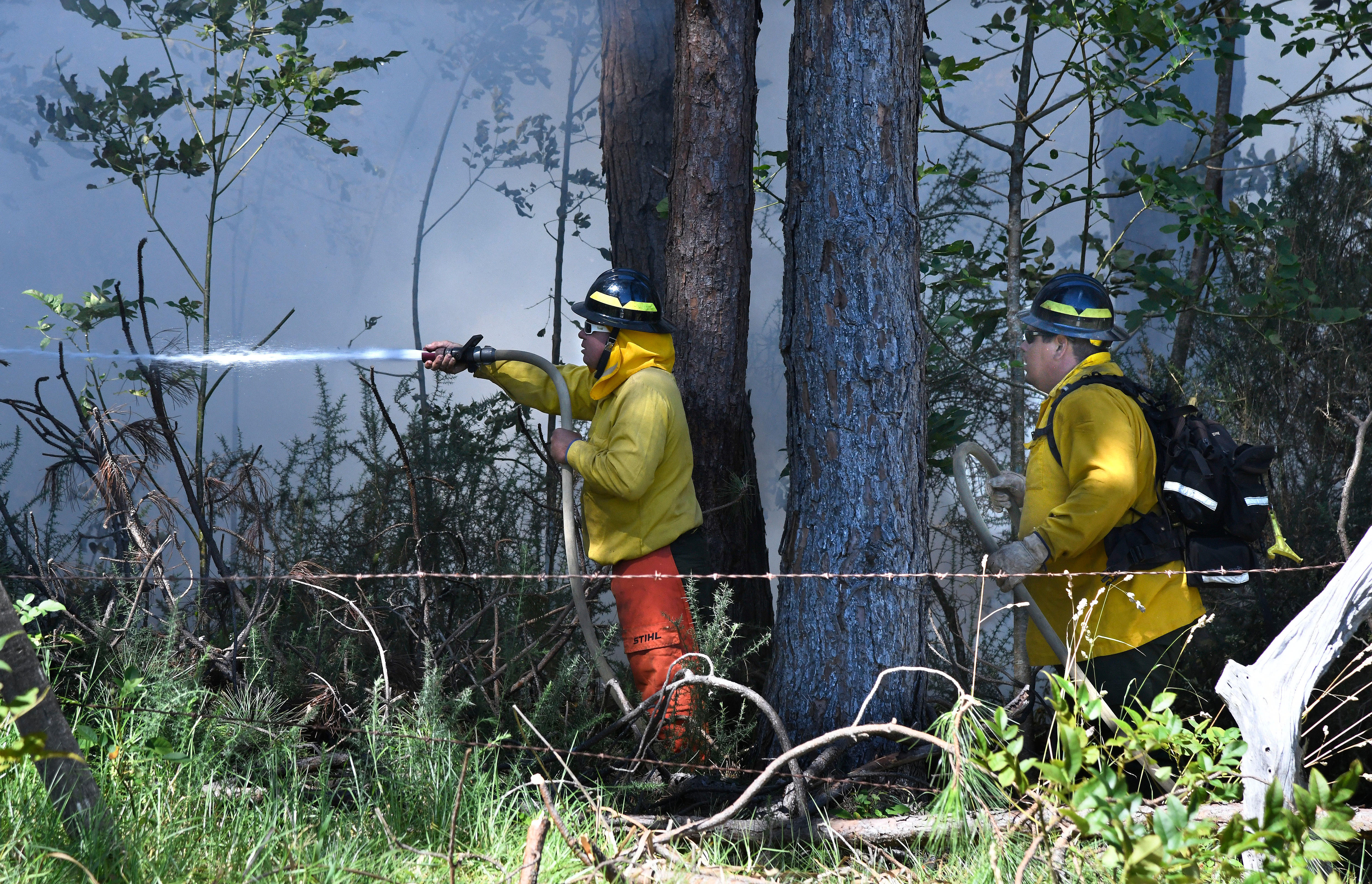 Six killed in Hawaii as wildfires force people to flee from Maui into ...