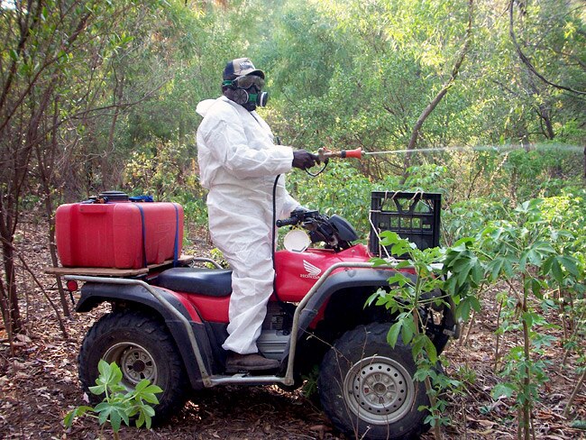 Indigenous rangers face uncertain future - ABC News