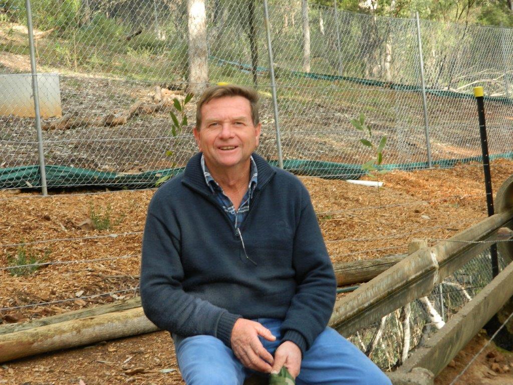 Dine and Discover vouchers slammed by NSW regions as being too 'city ...