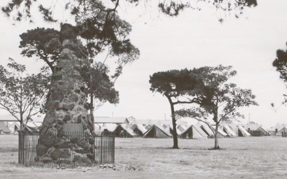 Was Royal Park once one of Melbourne's roughest areas? - ABC News