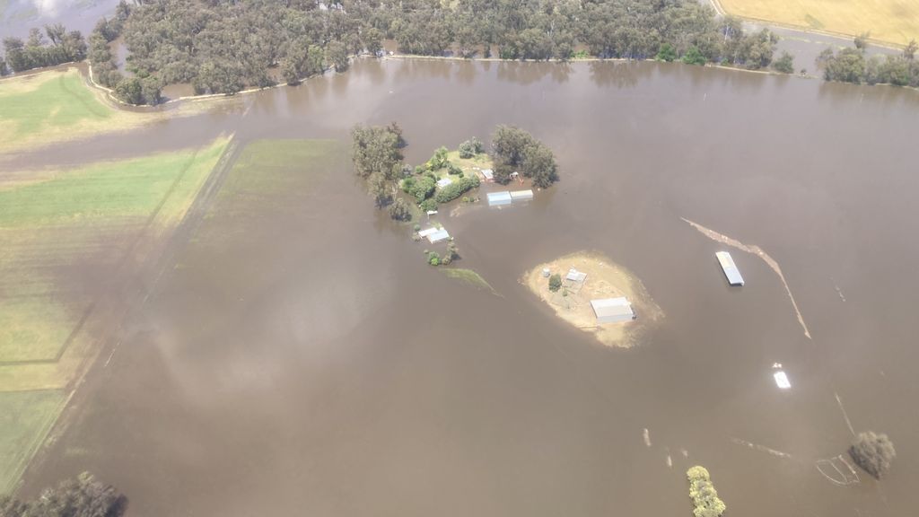 Flooding inundates farms and communities west of Forbes - ABC News
