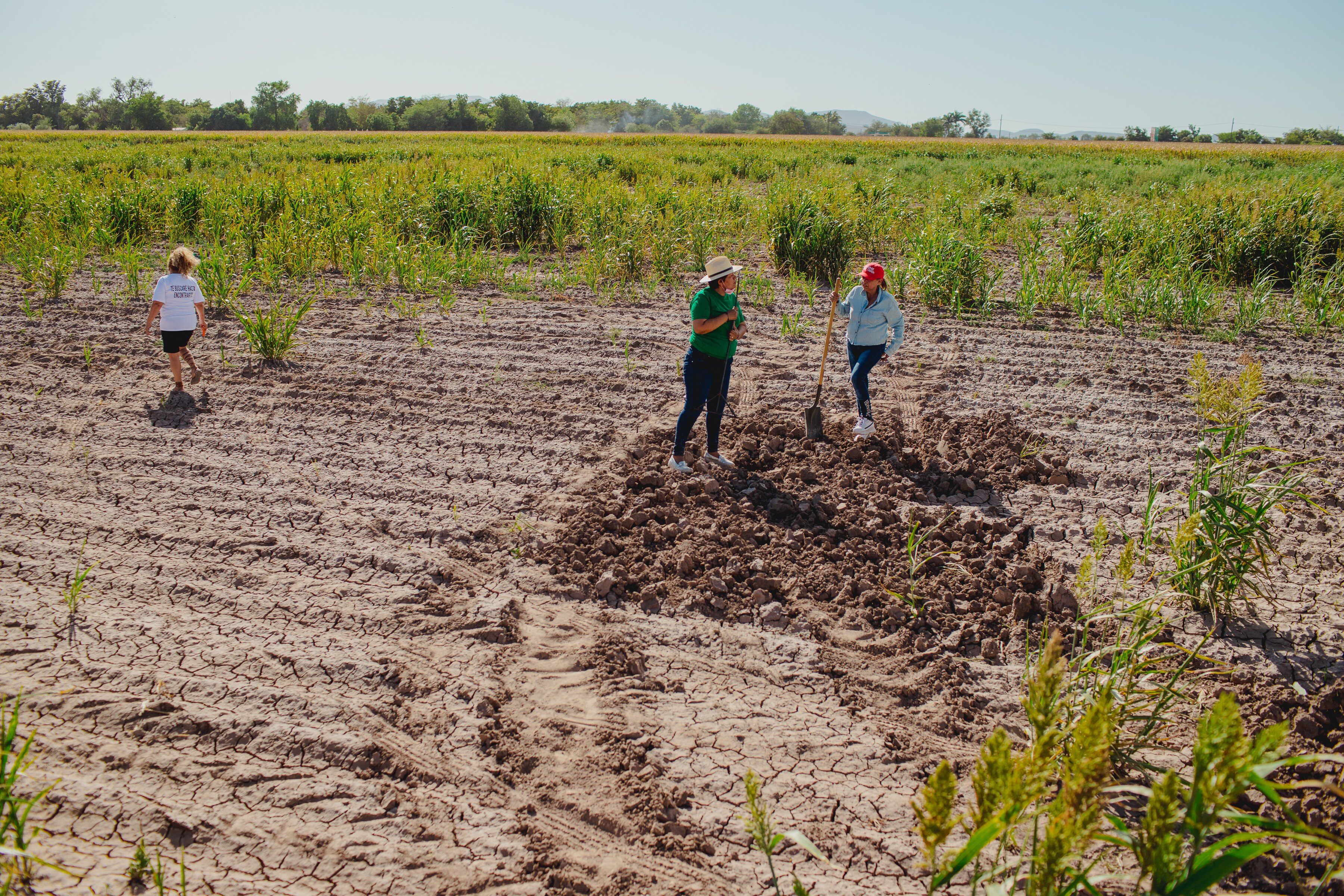 Trackers of El Fuerte: The mothers digging for Mexico's disappeared ...