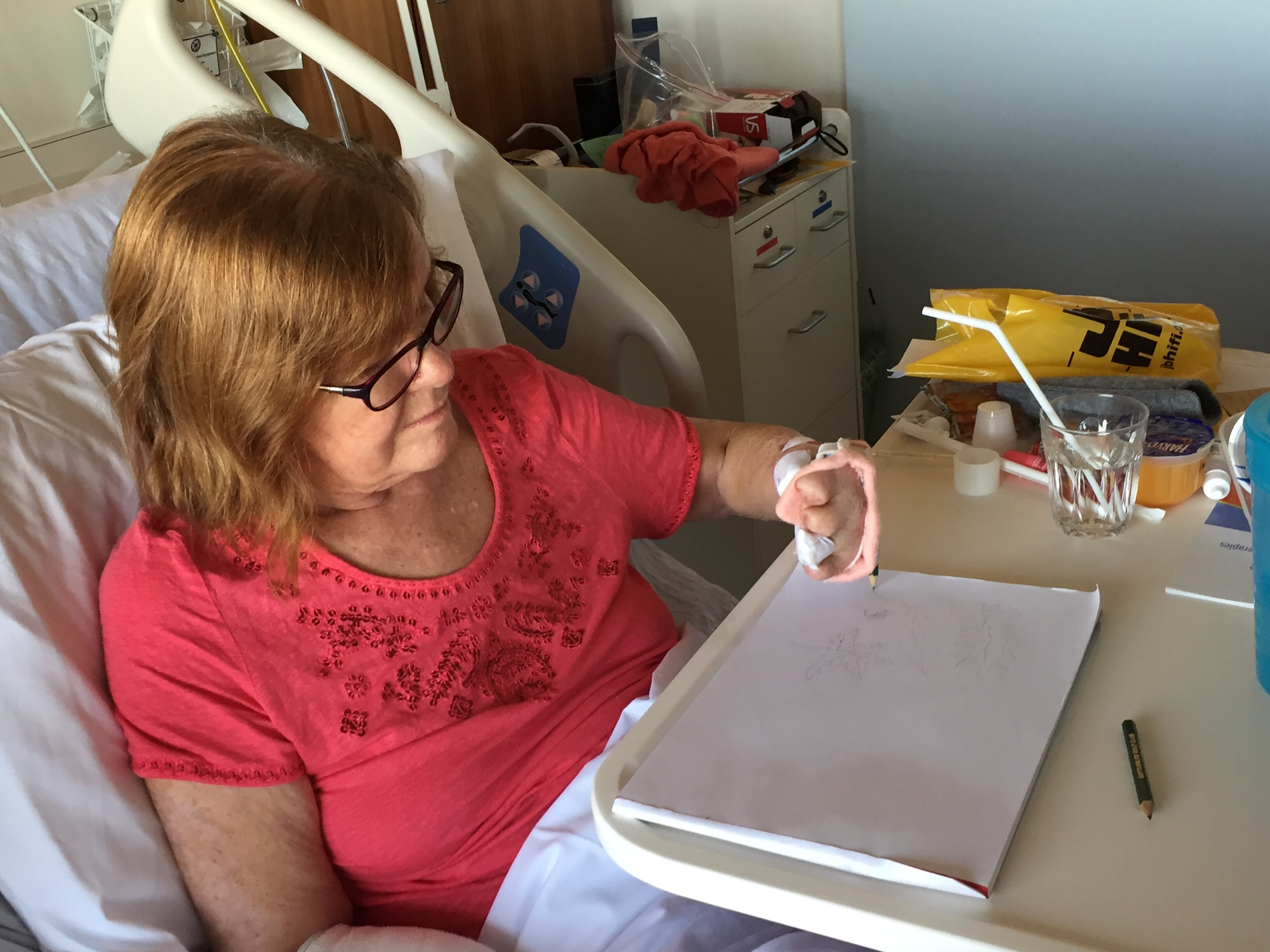 A brush with meningococcal robbed artist Elizabeth Stanley of both ...