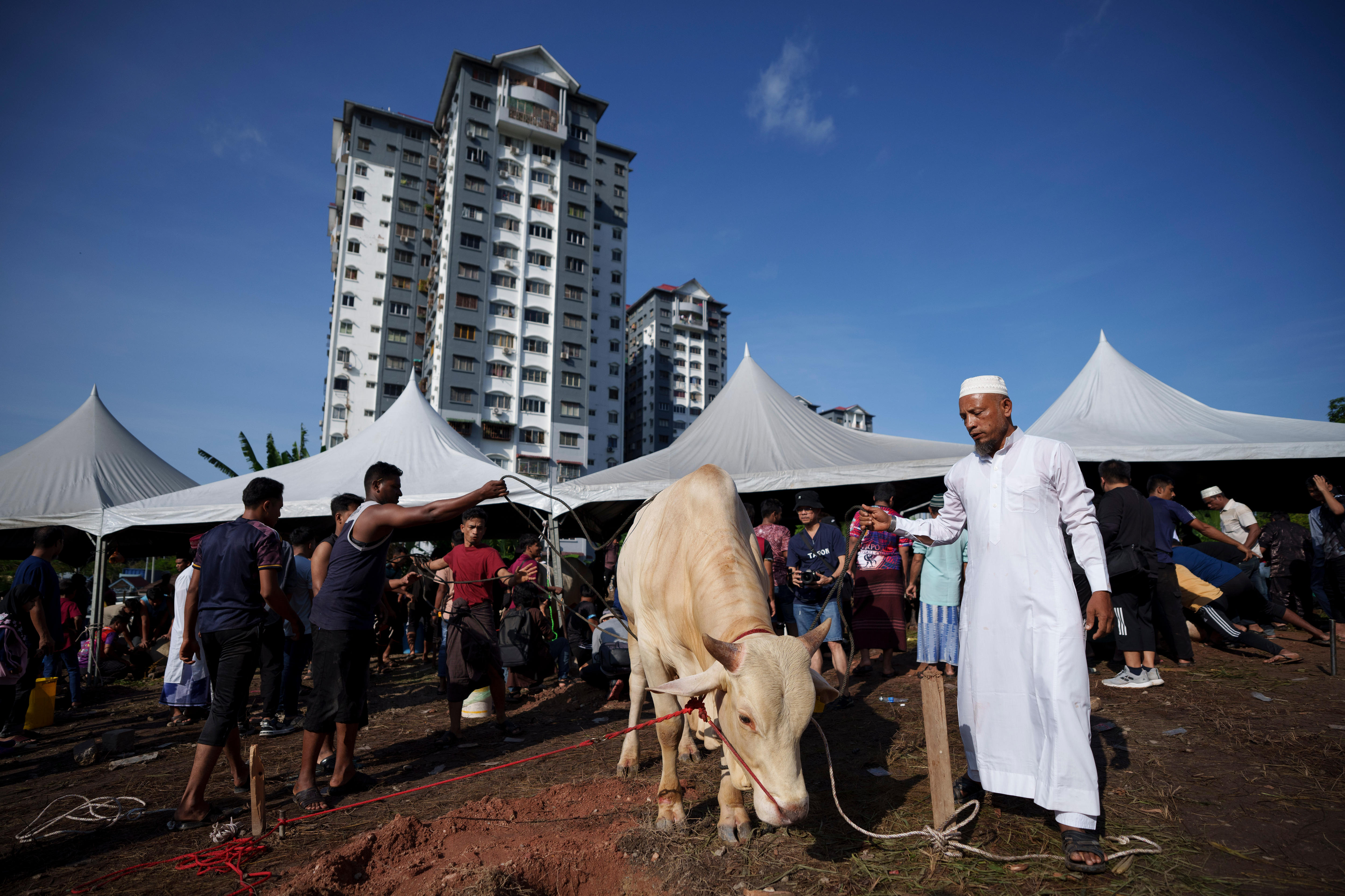 Eid al-Adha celebrated by Muslims across Asia with sacrifice festival ...