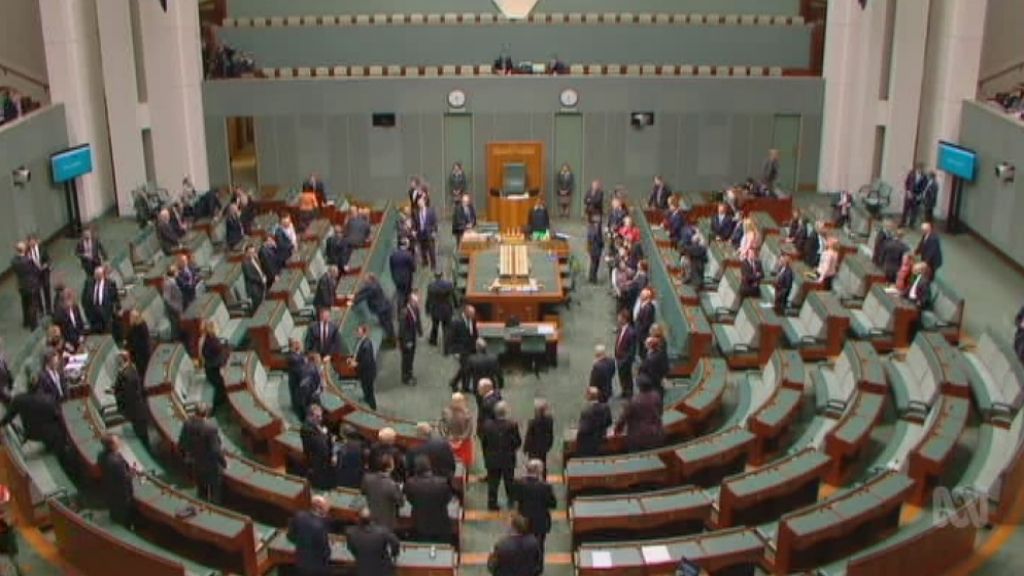 Absolutely Everybody - ABC News